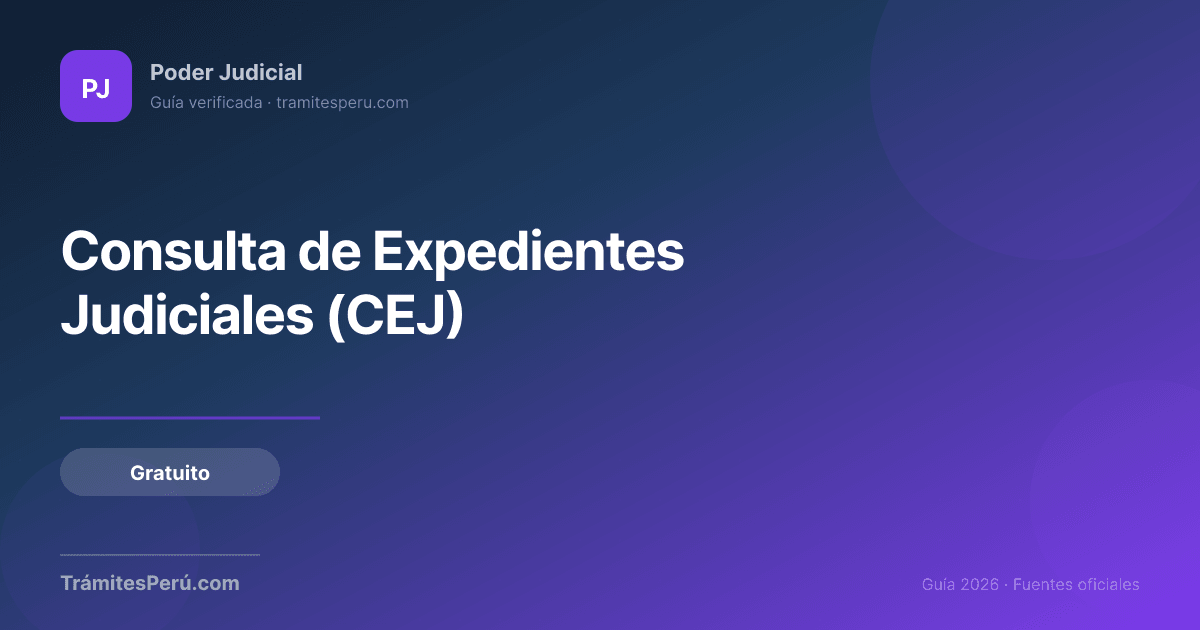 Consulta de Expedientes Judiciales (CEJ): cómo buscar tu caso ...