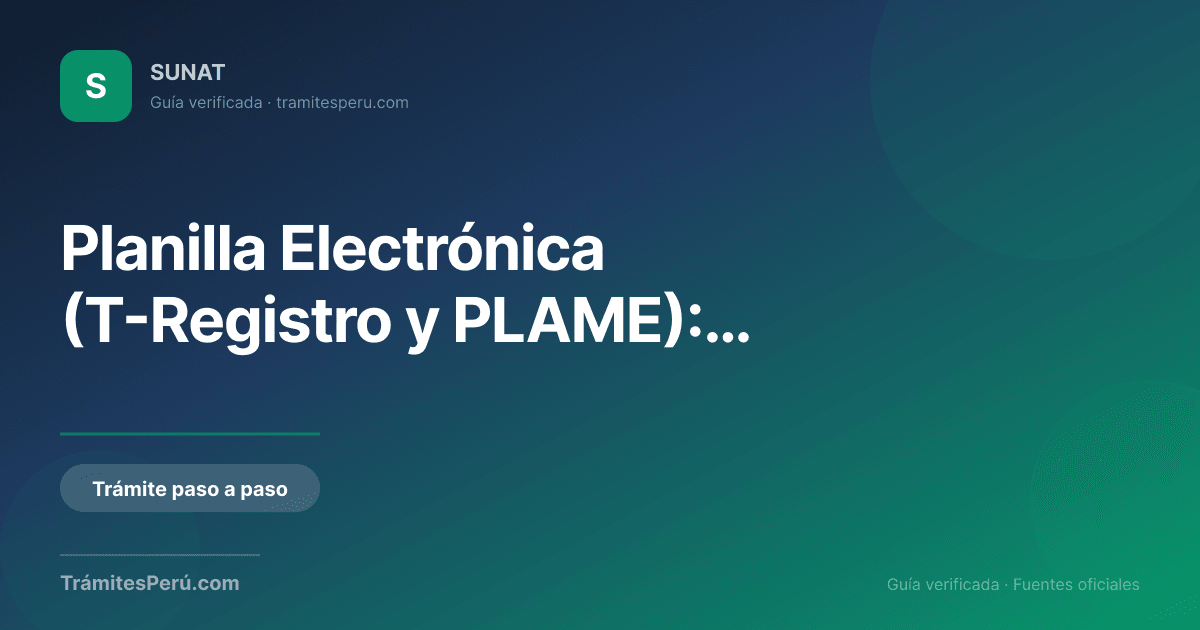 Planilla Electrónica PLAME 2026: cómo declarar aportes y remuneraciones ...